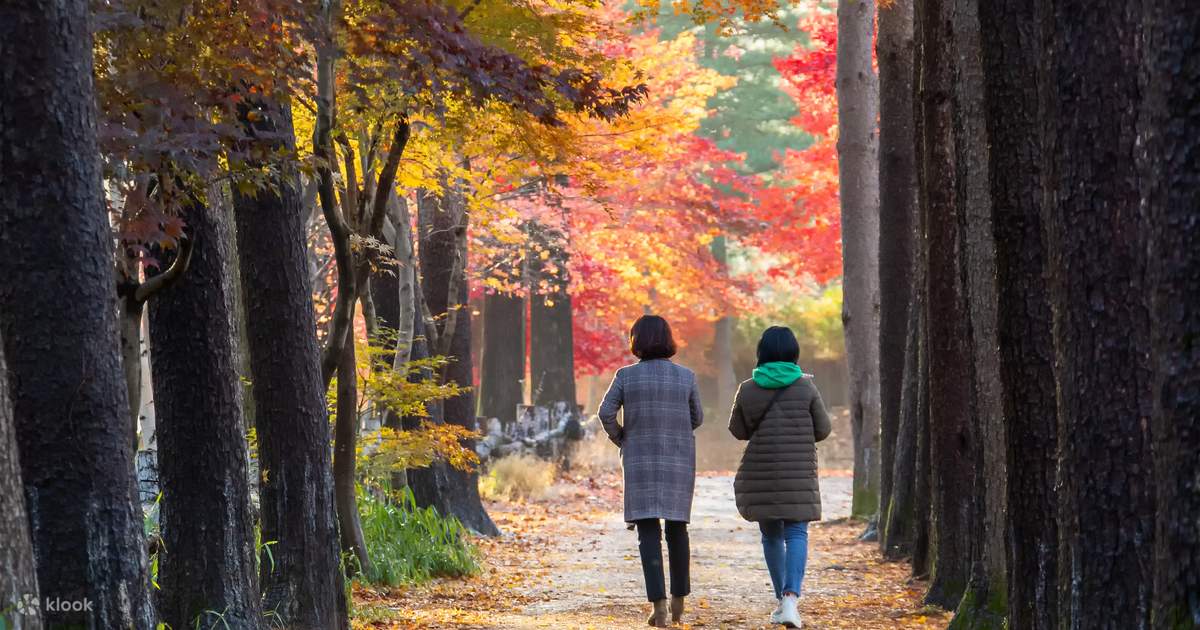 [Special Offer] Nami Island Admission with Restaurants & Activities - Klook